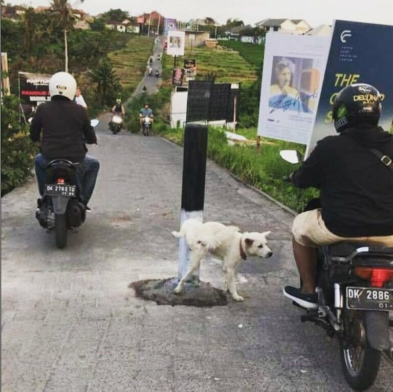 The Canggu Shortcut: Bali's Most Infamous Road [2023 Update] | BaliKit