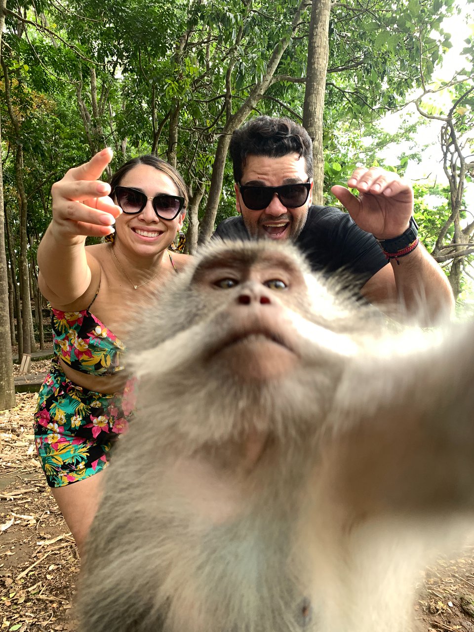 Sacred Monkey Forest Sanctuary in Ubud | BaliKit